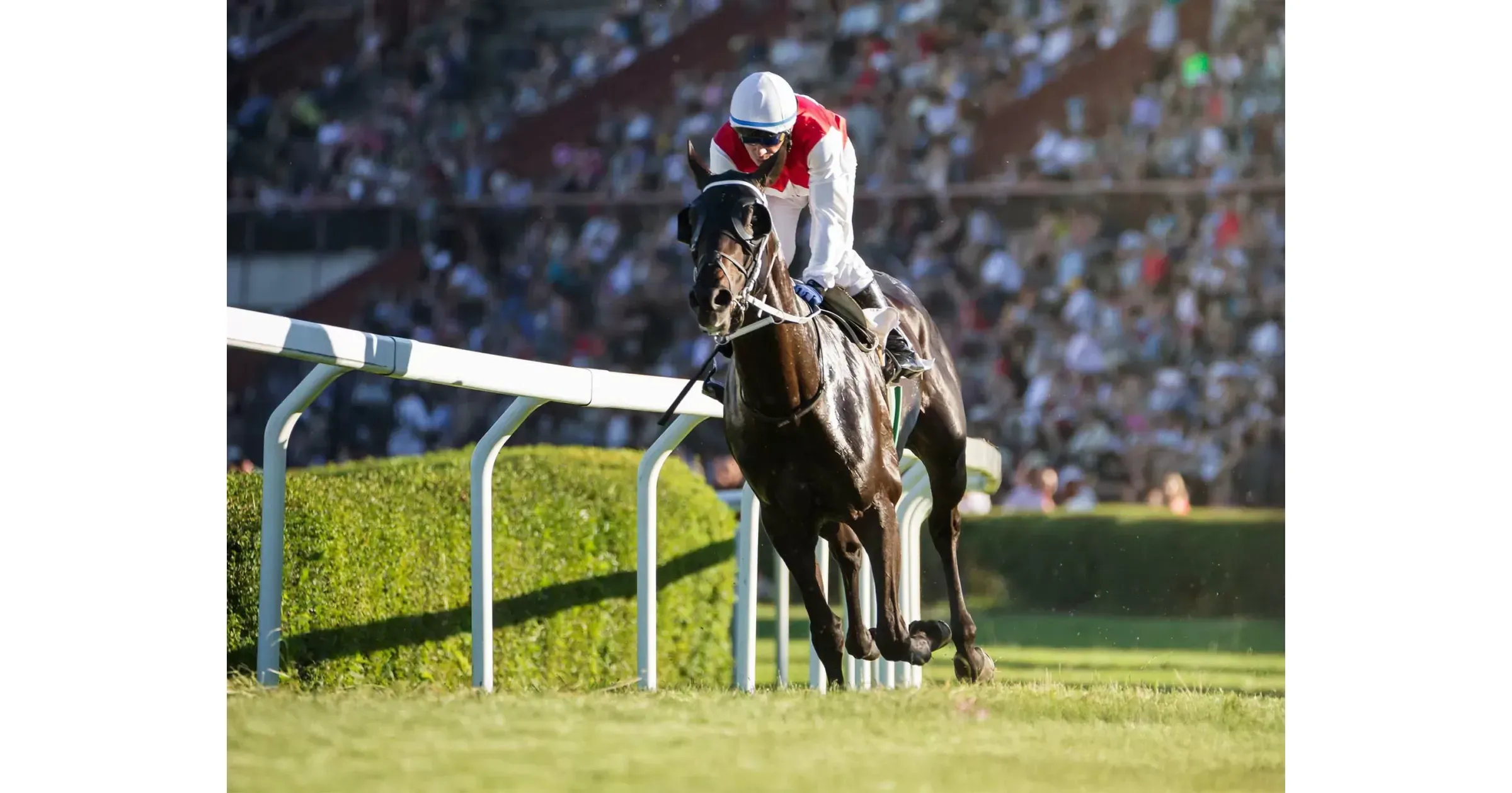 Horse Racing Day Stag Do in Madrid | Book Online
